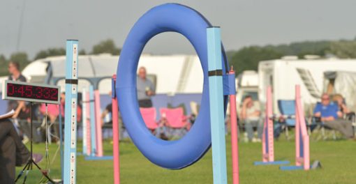 Equipment Hire – Adams Agility Equipment